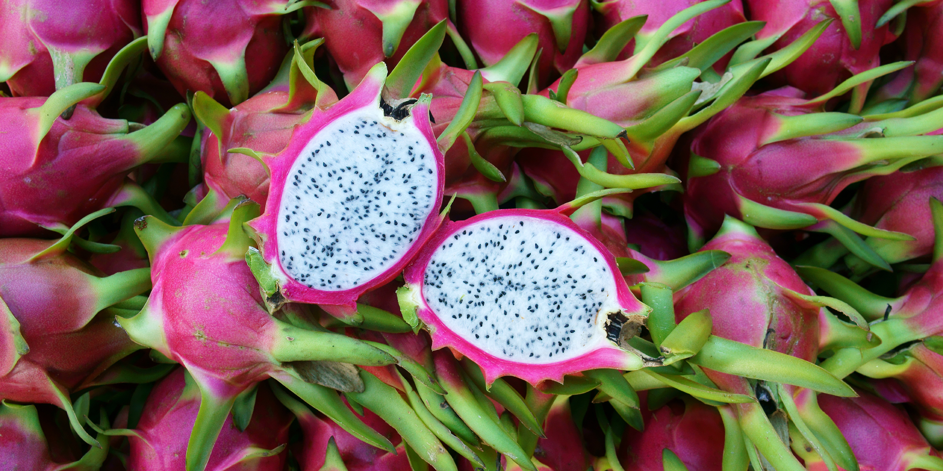 Discover Popular Vietnamese Fruits You Should Try